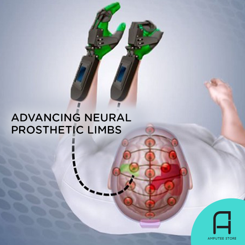 Advancing Neural Prosthetic Limbs – Amputee Store