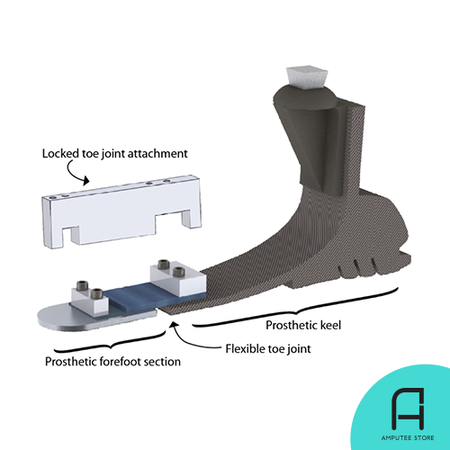 How a Toe Joint on a Prosthetic Leg Can Transform Walking | Amputee Store