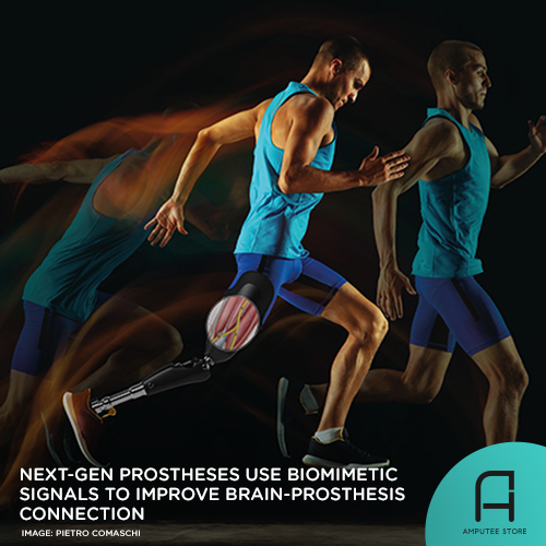 Biomimetic Signals Improve Brain-Prosthesis Link in New Prostheses ...
