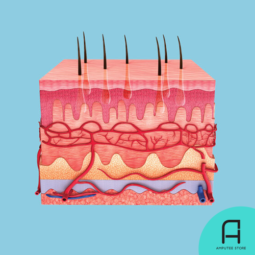 Researchers Use Special Skin Cells to Change Prosthetic Users' Skin ...