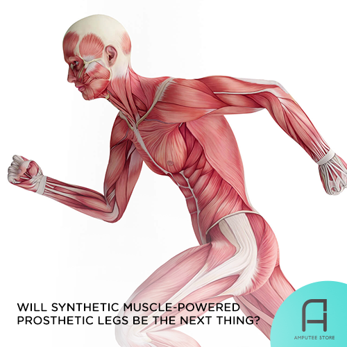 Will Synthetic Muscle-powered Prosthetic Legs Be the Next Thing ...